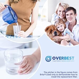 Overbest NSF Certified Pitcher Water Filter, Replacement for Brita® Pitchers and Dispensers, Brita® Classic 35557, OB03, Mavea® 107007, and More, Pack of 6