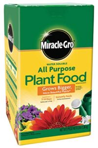 miracle-gro water soluble all purpose plant food, 3 lb