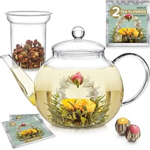 teabloom stovetop & microwave safe glass teapot (40 oz) with removable loose tea glass infuser – includes 2 blooming teas – 2-in-1 tea kettle and tea maker