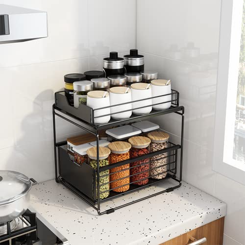 Lexza Pull Out Organizer with 2 Tier Sliding Storage Baskets, Under/Over the Sink Organizers and Storage for Kitchen Bathroom -Idea Home Gift