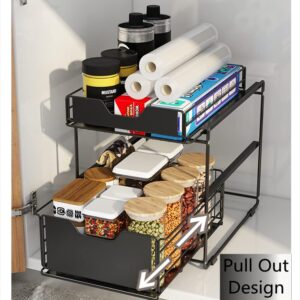 Lexza Pull Out Organizer with 2 Tier Sliding Storage Baskets, Under/Over the Sink Organizers and Storage for Kitchen Bathroom -Idea Home Gift