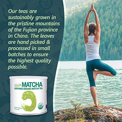 MATCHA DNA Certified Organic Matcha Green Tea Powder (16 oz TIN CAN)