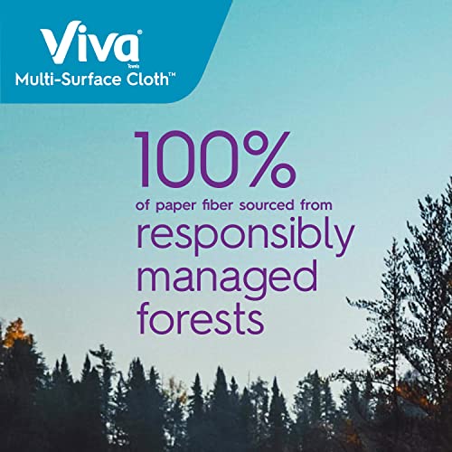 Viva Multi-Surface Cloth Paper Towels, Choose-A-Sheet - 24 Double Rolls (110 Sheets per Roll)