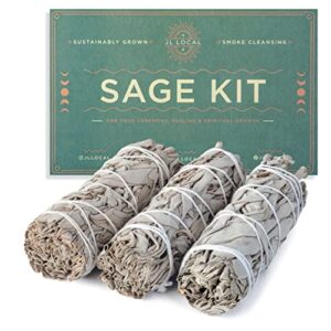 handcrafted 4 inch white sage sticks – fresh, natural california sage smudge sticks with instructions & blessings – wand sage for cleansing house negative energy & other smudging rituals