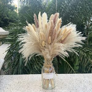 pampas grass 80 pcs 17.5 inch natural dried pampas grass – 15pcs white pampas & 15pcs brown pampas & 30pcs reed grass & 20pcs bunny tail grass,fluffy dried flowers for home decor wedding boho decor…