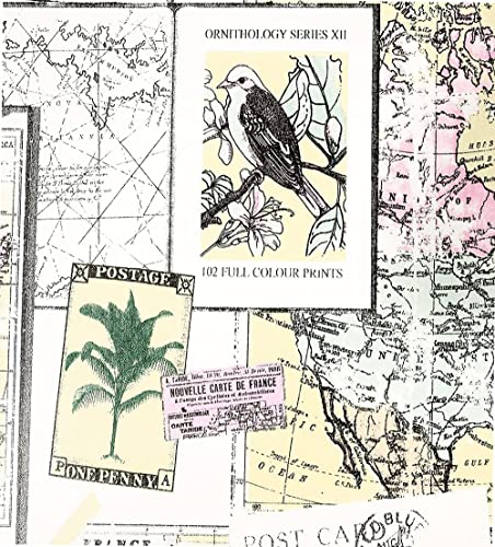 Self Adhesive Vintage Map Shelf Liner Birds Newspaper Contact Paper for Cabinets Dresser Drawer Pantry Table Desk Furniture Decal 17.7X117 Inches