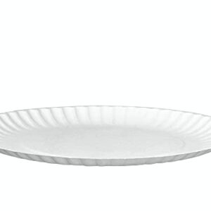 Comfy Package [300 Pack] Disposable White Uncoated Paper Plates, 9 Inch Large