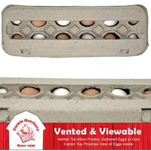 Vented Paper Pulp Egg Cartons (24 Pack)