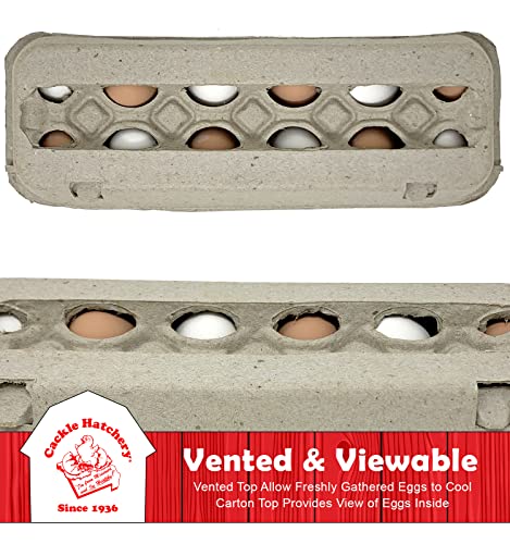 Vented Paper Pulp Egg Cartons (24 Pack)