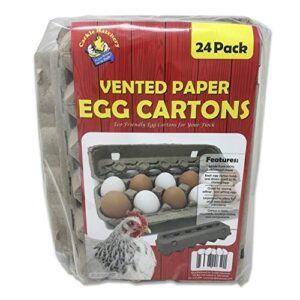 Vented Paper Pulp Egg Cartons (24 Pack)