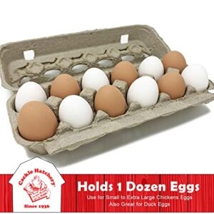 Vented Paper Pulp Egg Cartons (24 Pack)