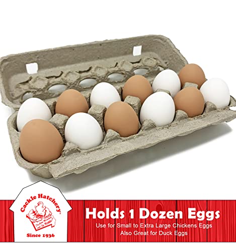 Vented Paper Pulp Egg Cartons (24 Pack)