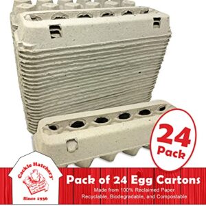 Vented Paper Pulp Egg Cartons (24 Pack)