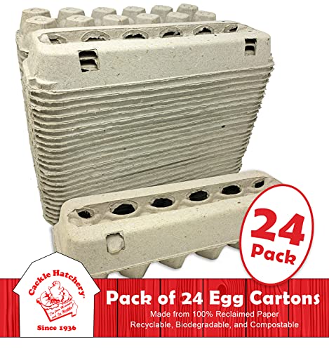 Vented Paper Pulp Egg Cartons (24 Pack)