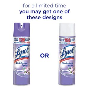 Lysol Disinfectant Spray, Sanitizing and Antibacterial Spray, For Disinfecting and Deodorizing, Early Morning Breeze, 19 Fl Oz, (Packaging May Vary)