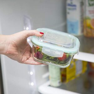 Vallo Large Glass Food Storage Container with Snap Lock Lids for Leftovers - Safe for Microwave, Oven, Dishwasher, Freezer - BPA Free - Airtight & Leakproof [2 Pack]