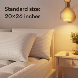 Niagara Sleep Solution 4Pack Pillow Protectors Standard 20x26 Inches Cotton Sateen Blend Tight Weave Size High Thread Count Zippered White Hotel Quality Non Noisy