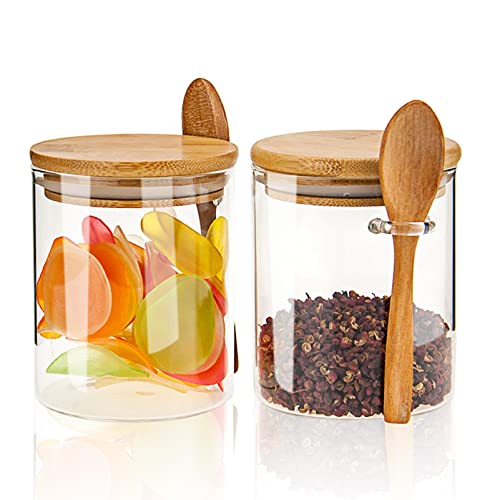 NEPIVEL 2 Pack Glass Jars with Bamboo Lids, 18.5Oz Glass Containers with Airtight Bamboo Lid and Spoons,100% Sealed Glass Spice Jars for Candy Coffee Beans Sugar Nuts Cookies, 540ml