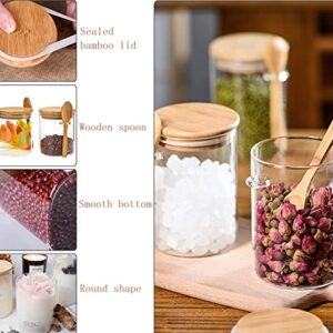 NEPIVEL 2 Pack Glass Jars with Bamboo Lids, 18.5Oz Glass Containers with Airtight Bamboo Lid and Spoons,100% Sealed Glass Spice Jars for Candy Coffee Beans Sugar Nuts Cookies, 540ml