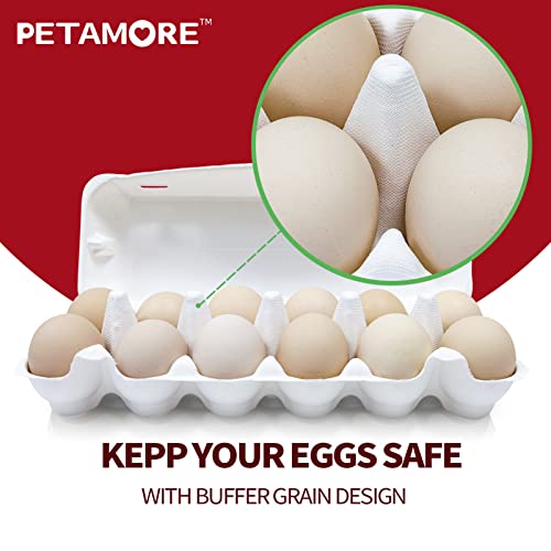 36 White Pulp Egg Cartons Holds 12 Small to Jumbo size Eggs - Strong Sturdy Reusable egg cartons bulk with flat top for personalized egg cartons-Cute egg crates for chicken quail duck goose eggs