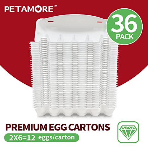 36 White Pulp Egg Cartons Holds 12 Small to Jumbo size Eggs - Strong Sturdy Reusable egg cartons bulk with flat top for personalized egg cartons-Cute egg crates for chicken quail duck goose eggs