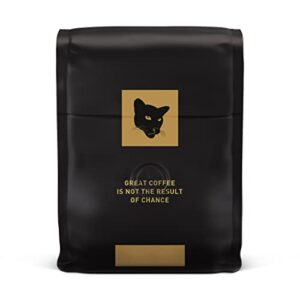 Intelligentsia Coffee Gifts, Medium Roast Whole Bean Coffee - Black Cat Espresso 12 Ounce Bag with Flavor Notes of Stone Fruit, Dark Sugars and Dark Chocolate