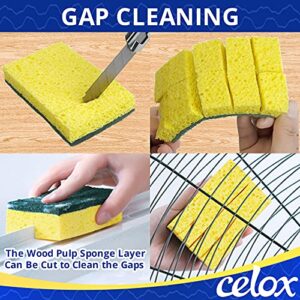 CELOX 12 Pack Dish Sponge for Kitchen, Dual Sided Scrub Sponge Heavy Duty, Non Scratch Sponges Perfect for Kitchen Dishwashing and Household Cleaning, Highly Absorbent and Easy to Dry for Reuse