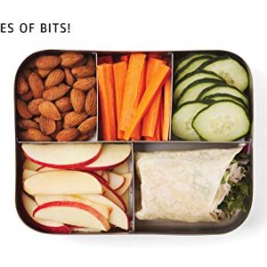 Bits Kits Stainless Steel Bento Box Lunch and Snack Container for Kids and Adults, 5 Sections