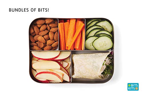 Bits Kits Stainless Steel Bento Box Lunch and Snack Container for Kids and Adults, 5 Sections