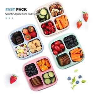 PUiKUS 4 Pack Snack Containers, 4 Compartments Bento Snack Box, Reusable Meal Prep Lunch Containers for Kids Adults, Divided Food Storage Containers for School Work Travel