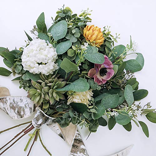 Mixed Eucalyptus Leaves Stems Bulk Artificial Silver Dollar Eucalyptus Leaves Picks and Faux Eucalyptus Leaves Branches for Vase Bouquets Floral Arrangement Wreath Rustic Farmhouse Greenery Decoration