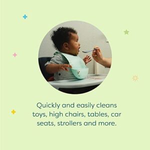 Babyganics Toy & Highchair Cleaner Spray, Non-Allergenic, Non-Toxic, Packaging May Vary, 17 Fl Oz (Pack of 2)