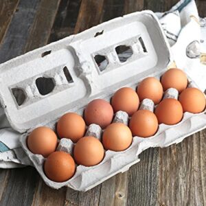 Printed Natural Pulp Egg Cartons Holds Up to Twelve Eggs - 1 Dozen Large - Strong Sturdy Material Perfect For Storing Extra Eggs - by MT Products (15 Cartons) - Made in The USA