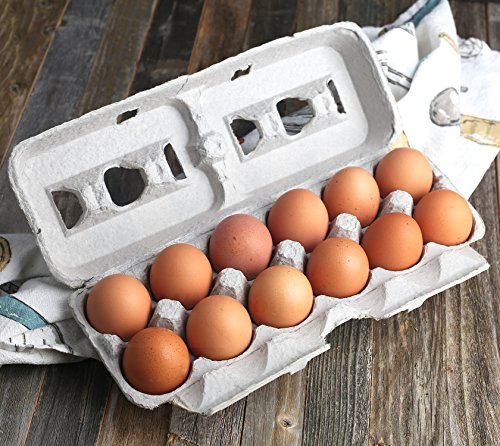 Printed Natural Pulp Egg Cartons Holds Up to Twelve Eggs - 1 Dozen Large - Strong Sturdy Material Perfect For Storing Extra Eggs - by MT Products (15 Cartons) - Made in The USA