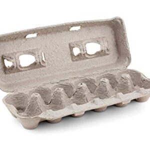 Printed Natural Pulp Egg Cartons Holds Up to Twelve Eggs - 1 Dozen Large - Strong Sturdy Material Perfect For Storing Extra Eggs - by MT Products (15 Cartons) - Made in The USA