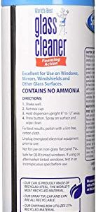 Sprayway Glass Cleaner , Foam Action , 19 Fl Oz , ( Pack of 3 ) - Bonus Ultra Fine Microfiber Cleaning Cloth for Glass