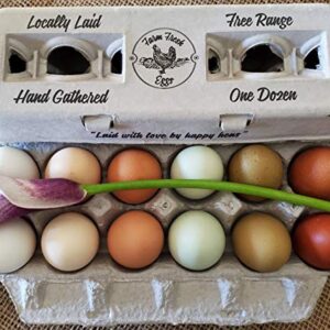 25 Egg Cartons – Adorable Vintage Design for your Farm Fresh Eggs, 100% Recycled Paper Cardboard, Sturdy & Reusable, Holds Small to XL Chicken Eggs