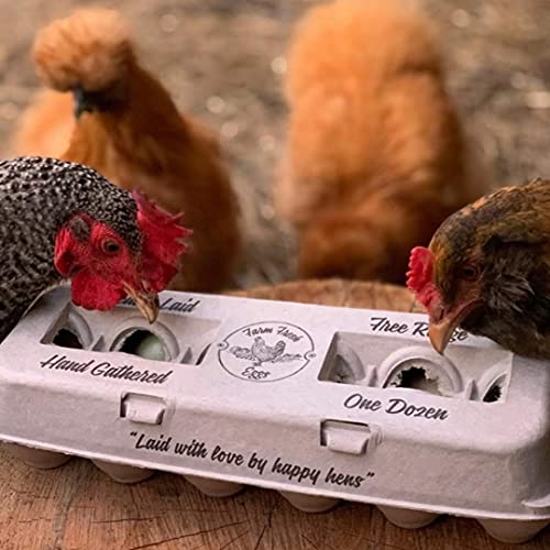 25 Egg Cartons – Adorable Vintage Design for your Farm Fresh Eggs, 100% Recycled Paper Cardboard, Sturdy & Reusable, Holds Small to XL Chicken Eggs