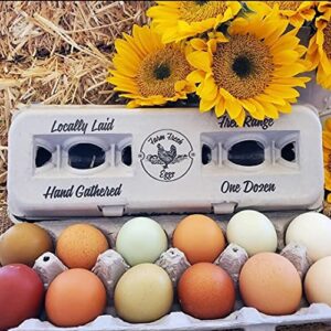 25 Egg Cartons – Adorable Vintage Design for your Farm Fresh Eggs, 100% Recycled Paper Cardboard, Sturdy & Reusable, Holds Small to XL Chicken Eggs