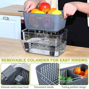 6 Pack Fruit Storage Containers for Fridge Produce Saver Containers for Refrigerator Fruit Containers for Fridge Keep Fresh with Lids Colander and Dividers for Salad Lettuce Berry Vegetable