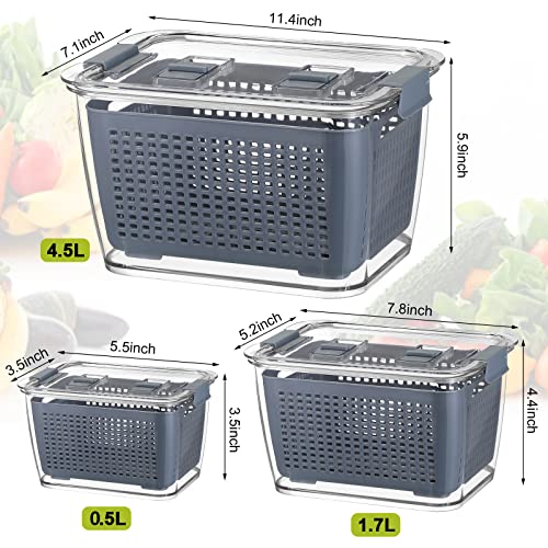 6 Pack Fruit Storage Containers for Fridge Produce Saver Containers for Refrigerator Fruit Containers for Fridge Keep Fresh with Lids Colander and Dividers for Salad Lettuce Berry Vegetable