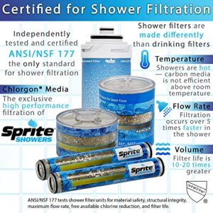 Sprite HHC-2 Hand Held Replacement Shower Filter Cartridge, 2-Pack, Blue