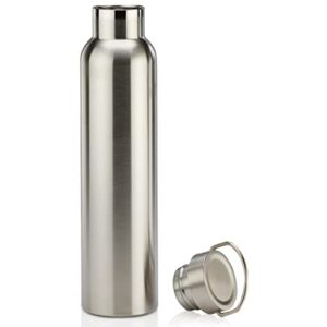 PARNOO Hot & Cold Thermos Bottle with handle 25 oz, Triple Wall Vacuum Insulated Stainless Steel, 11.5 inchx2.1/4 inch