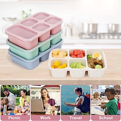 Ylebs 5 Compartment Bento Lunch Box,Reusable Meal Prep Containers,BPA-Free Stackable Divided Food Storage Container,for School, Work, and Travel, Dishwasher Safe,Set of 4