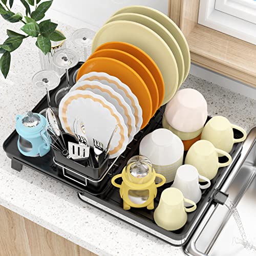 Dish Drying Rack- Space-Saving Expandable Large Capacity Dish Rack for Kitchen Counter, Kitchen Dish Drainer with Utensil Holder, Drying Rack for Kitchen Counter Dishes, Knives, Spoons, Forks (白蜡虫可