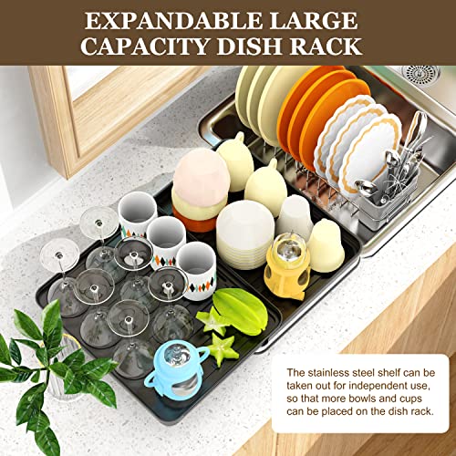 Dish Drying Rack- Space-Saving Expandable Large Capacity Dish Rack for Kitchen Counter, Kitchen Dish Drainer with Utensil Holder, Drying Rack for Kitchen Counter Dishes, Knives, Spoons, Forks (白蜡虫可