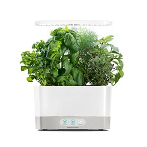 aerogarden harvest with gourmet herb seed pod kit – hydroponic indoor garden, white