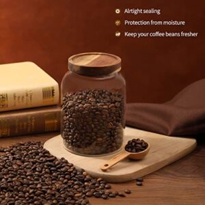 Glass Coffee Storage Jar with Lids Spoon Thicken Glass Coffee Canister 40 Oz (1200 mL) Borosilicate Glass Food Containers for Ground Coffee Beans Nut Pasta Sugar Candy Spice Rice Loose Tea