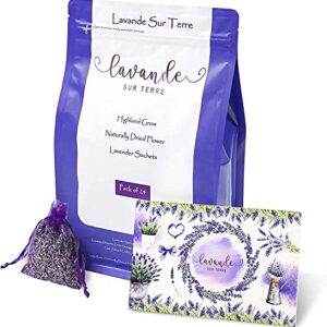 French Lavender Sachets for Drawers and Closets Fresh Scents, Home Fragrance Sachet, Pack of 24, Purple, LV-S-C-24-1