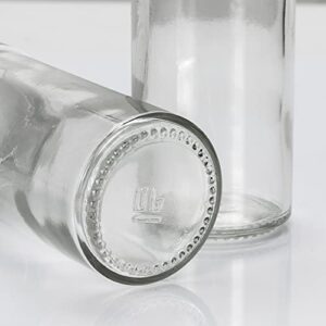 Tianifa 2 Pcs Glass Spice Jars/Bottles - 3oz Empty Round Spice Containers with Airtight Metal Caps with Shaker Lids (2, clear)